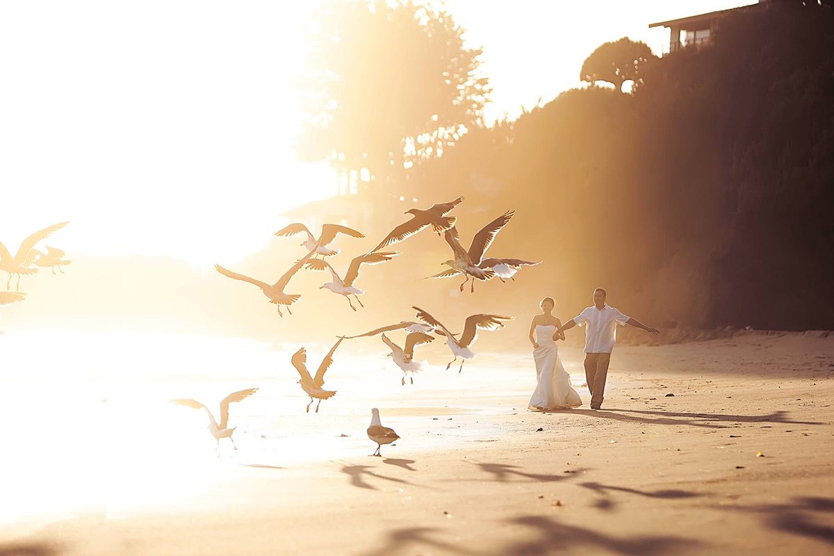 Tauran Woo | California Wedding Photographers Tauran Woo | California Wedding Photographers